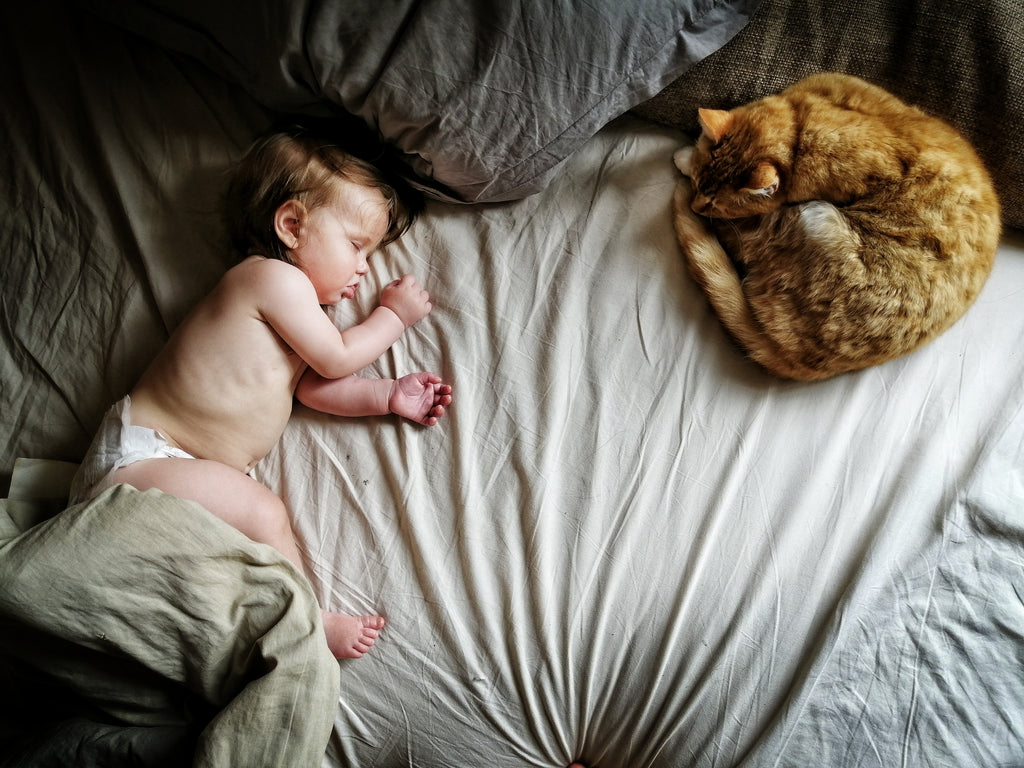 Cry Detection vs VOX: Understanding the Differences in Baby Monitors ...
